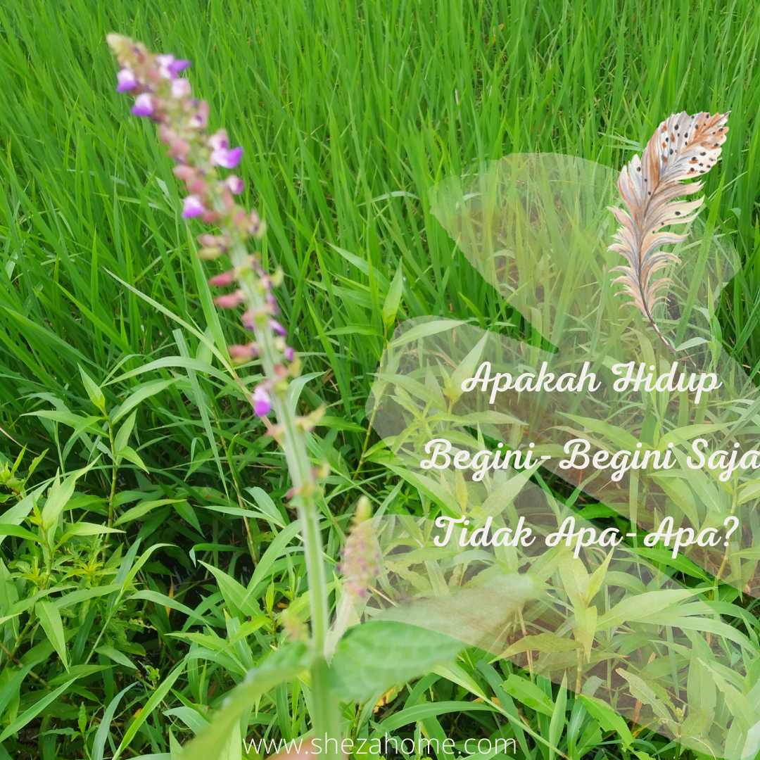 Dear Diriku: "Apakah Tidak Apa-Apa Hidup Begini Saja?" [Diary Curhat ...